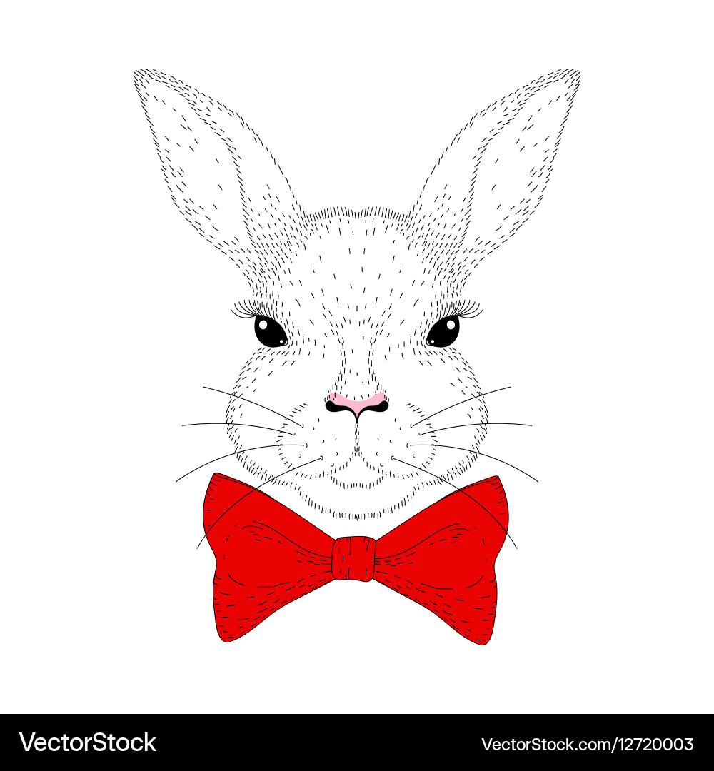 Cute bunny portrait hand drawn rabbit head Vector Image