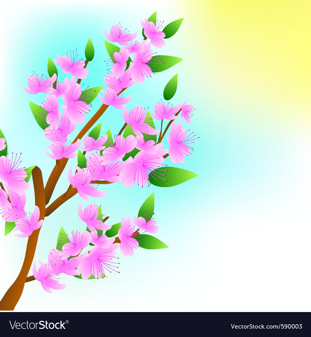 Spring tree Royalty Free Vector Image - VectorStock