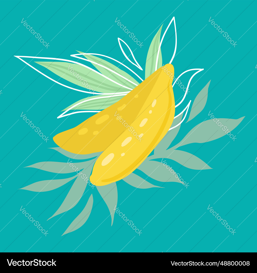Flat hand drawn of a juicy Royalty Free Vector Image