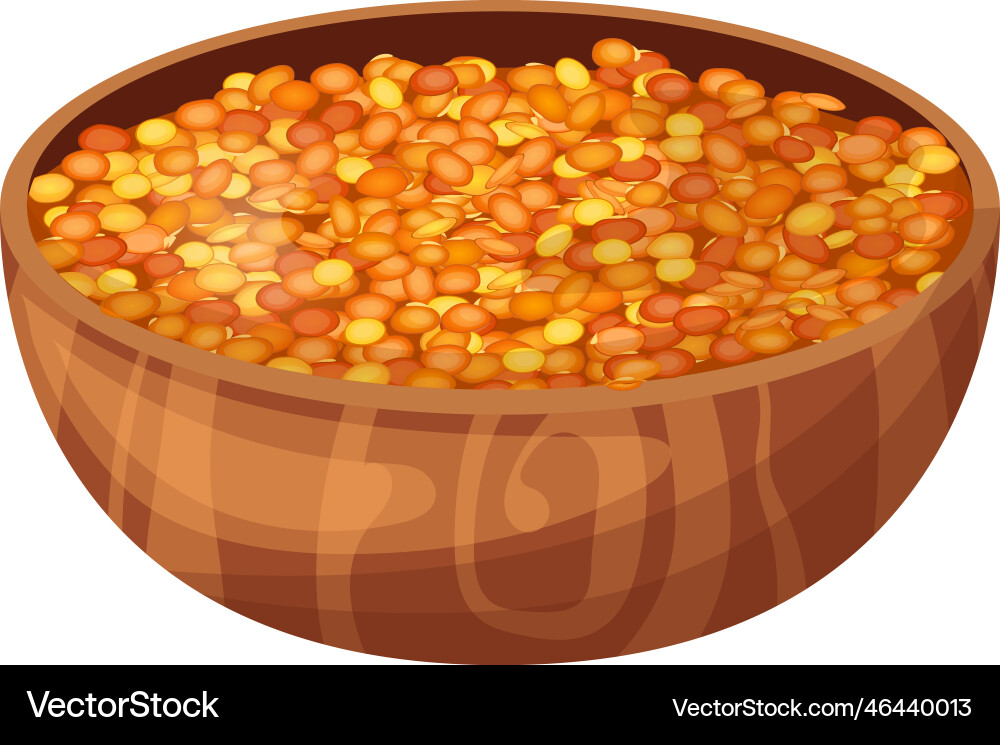 Lentil food cartoon Royalty Free Vector Image - VectorStock