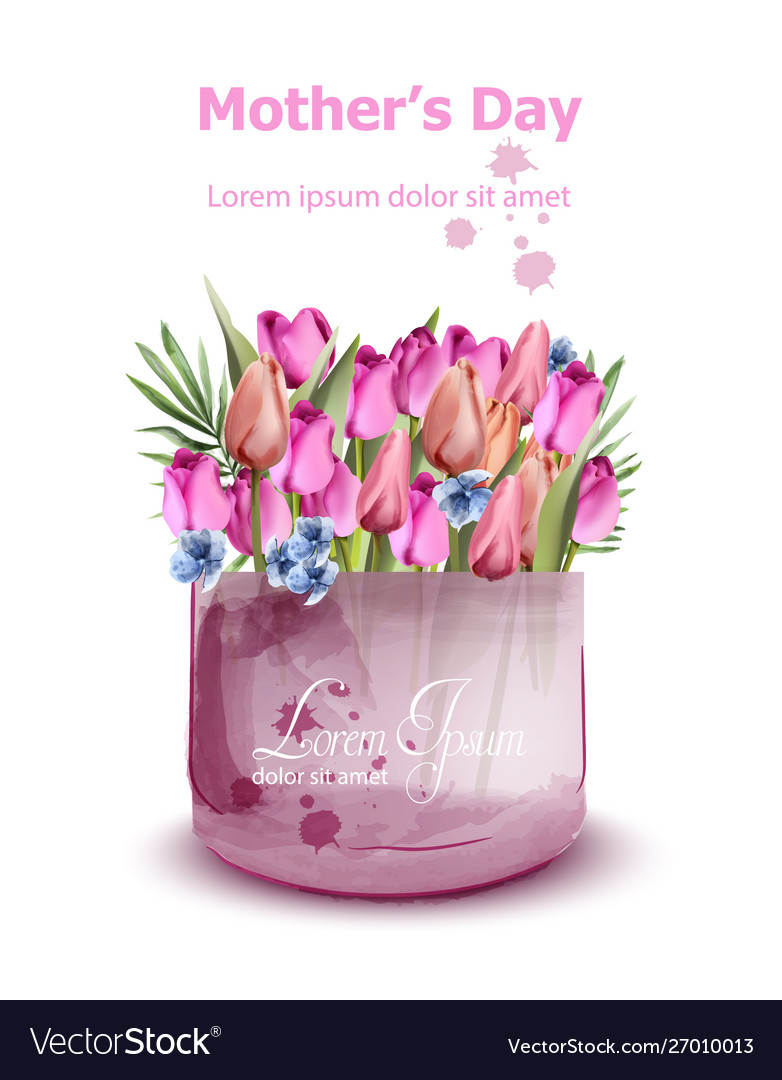 Mothers day tulips card watercolor holiday fresh Vector Image
