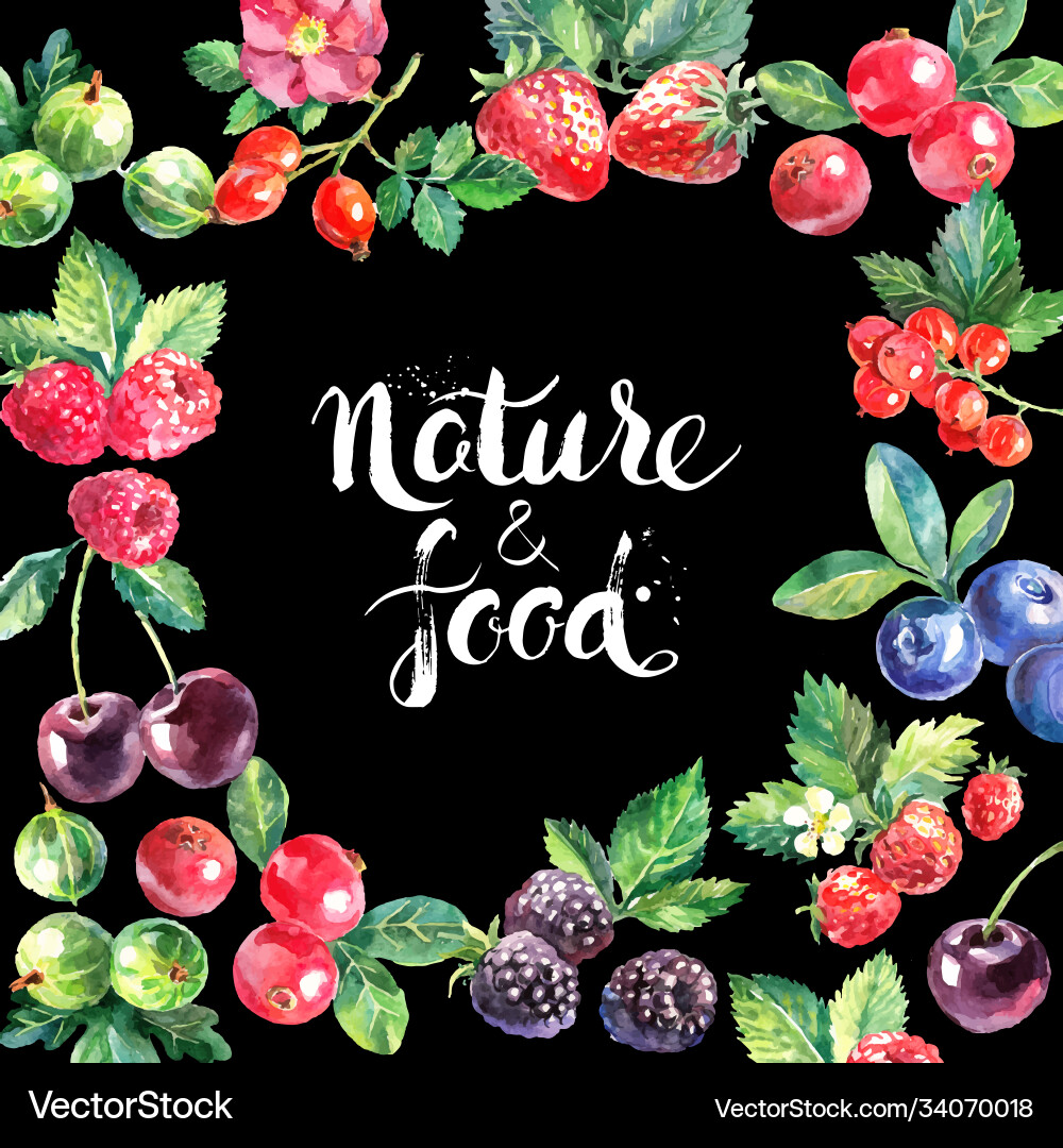 Eco food organic cafe menu frame design Royalty Free Vector