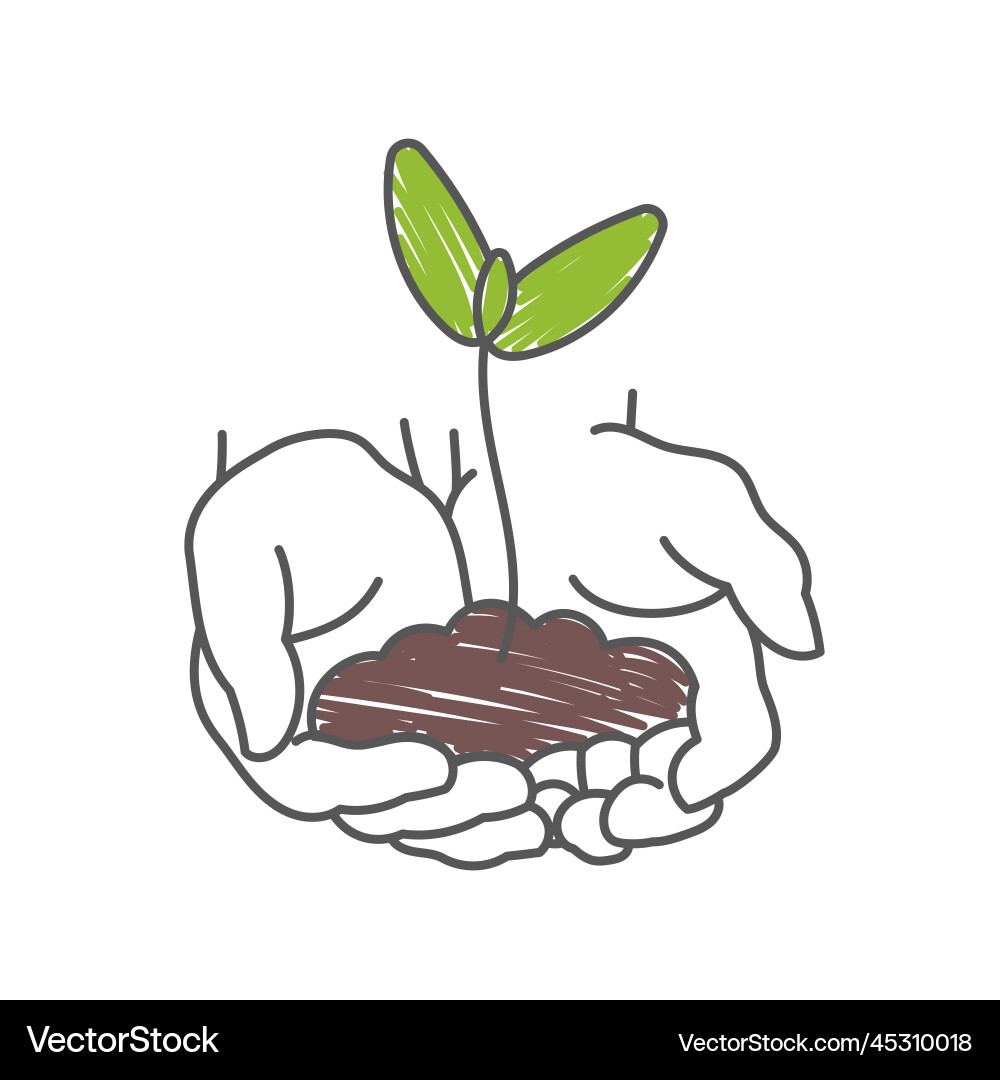 Hands with sprout agriculture sprout in hand Vector Image
