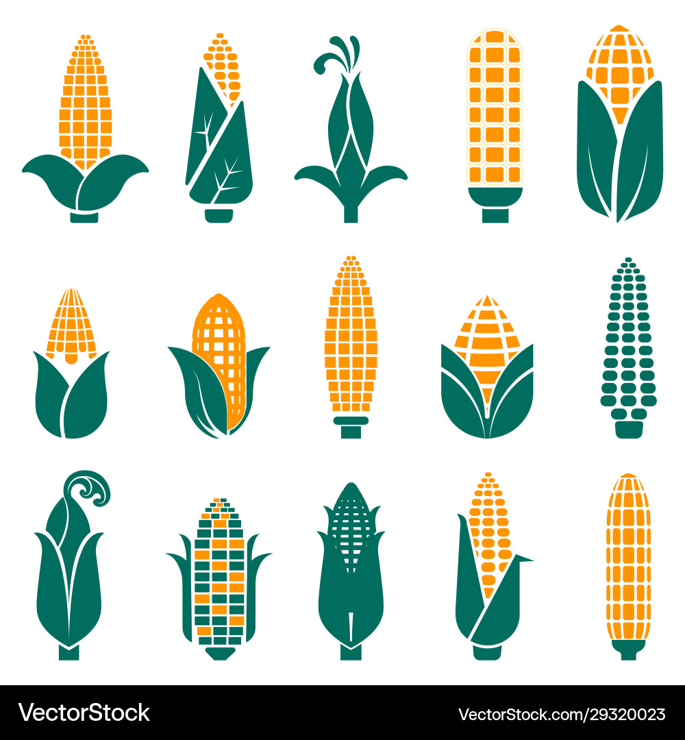 Sweet corn cobs icons collection in abstract Vector Image