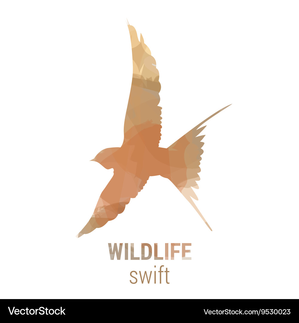 Wildlife banner - bird swift Royalty Free Vector Image