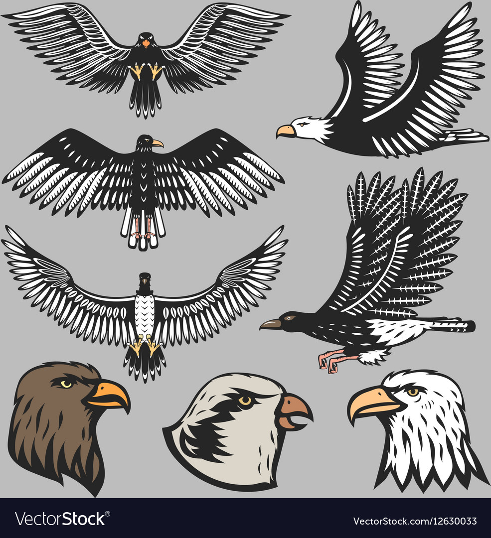 Eagle Royalty Free Vector Image - VectorStock