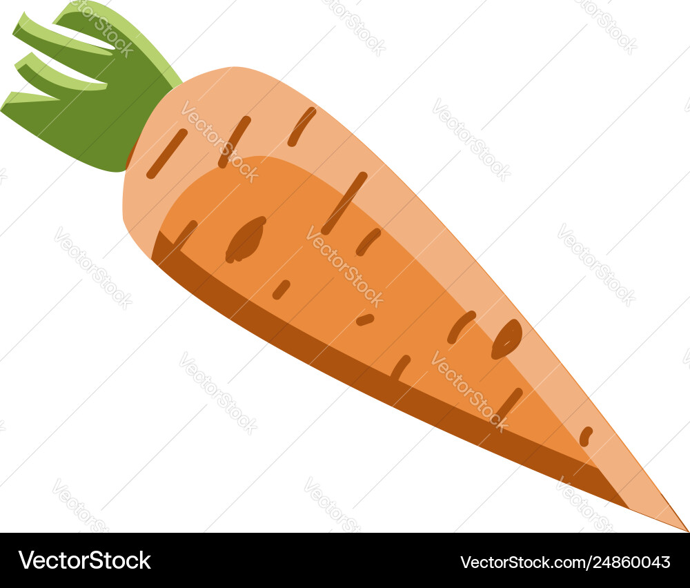 An orange carrot with green stem ready Royalty Free Vector