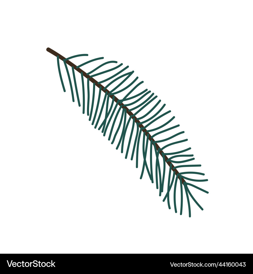 Hand drawn christmas tree branch isolated Vector Image