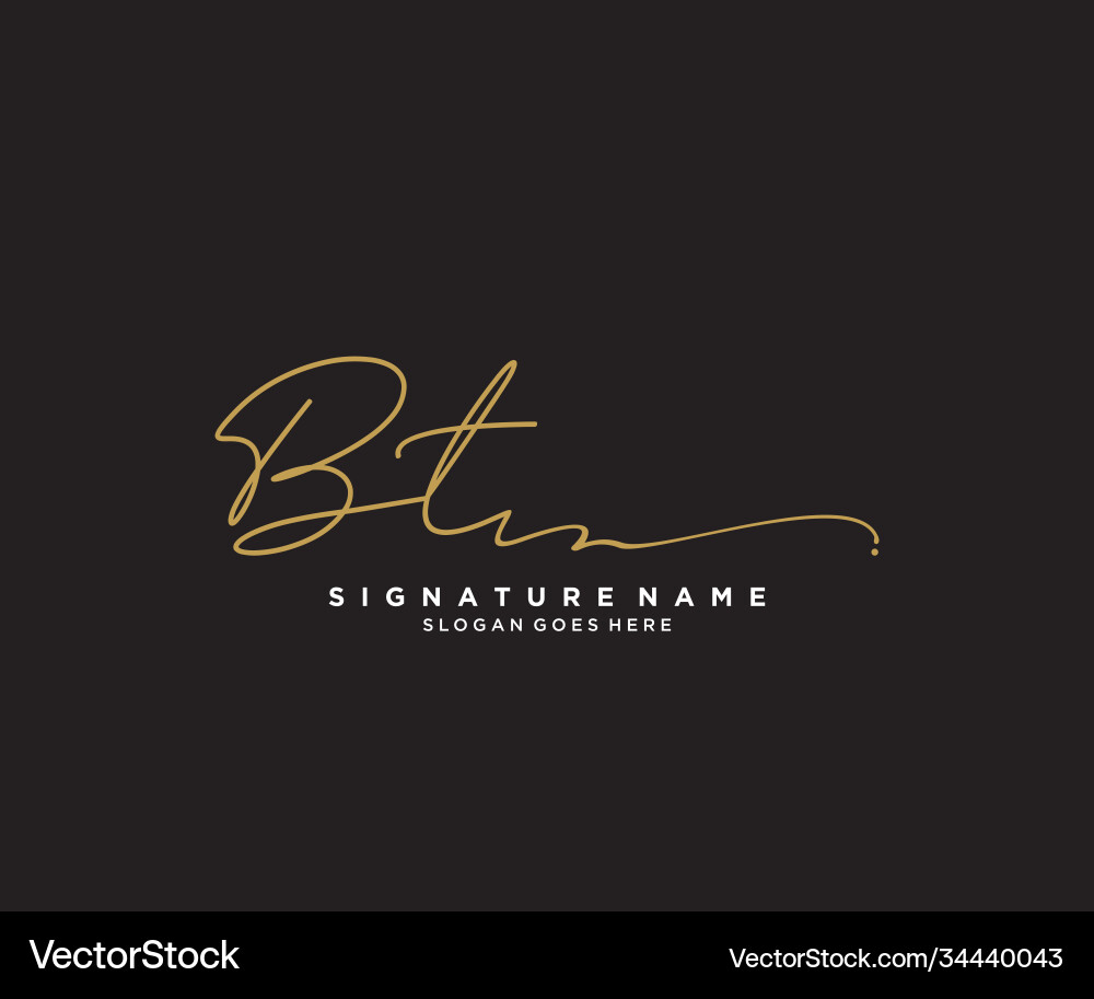 Letter bt signature logo template Royalty Free Vector Image
