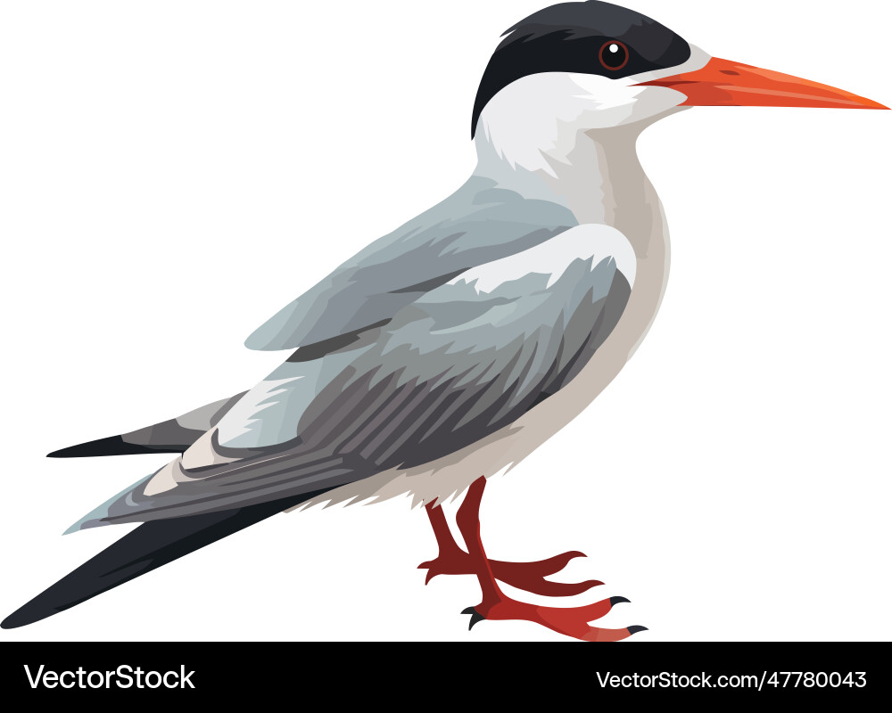 Small bird perching on branch in nature Royalty Free Vector