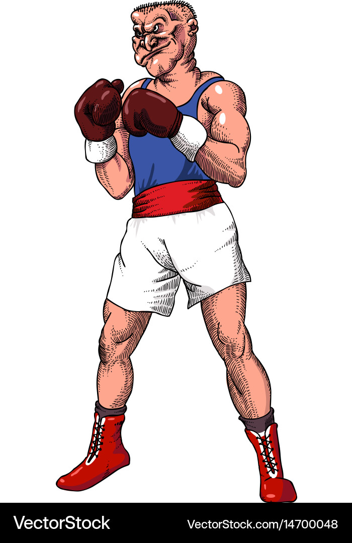 Cartoon image boxer Royalty Free Vector Image - VectorStock