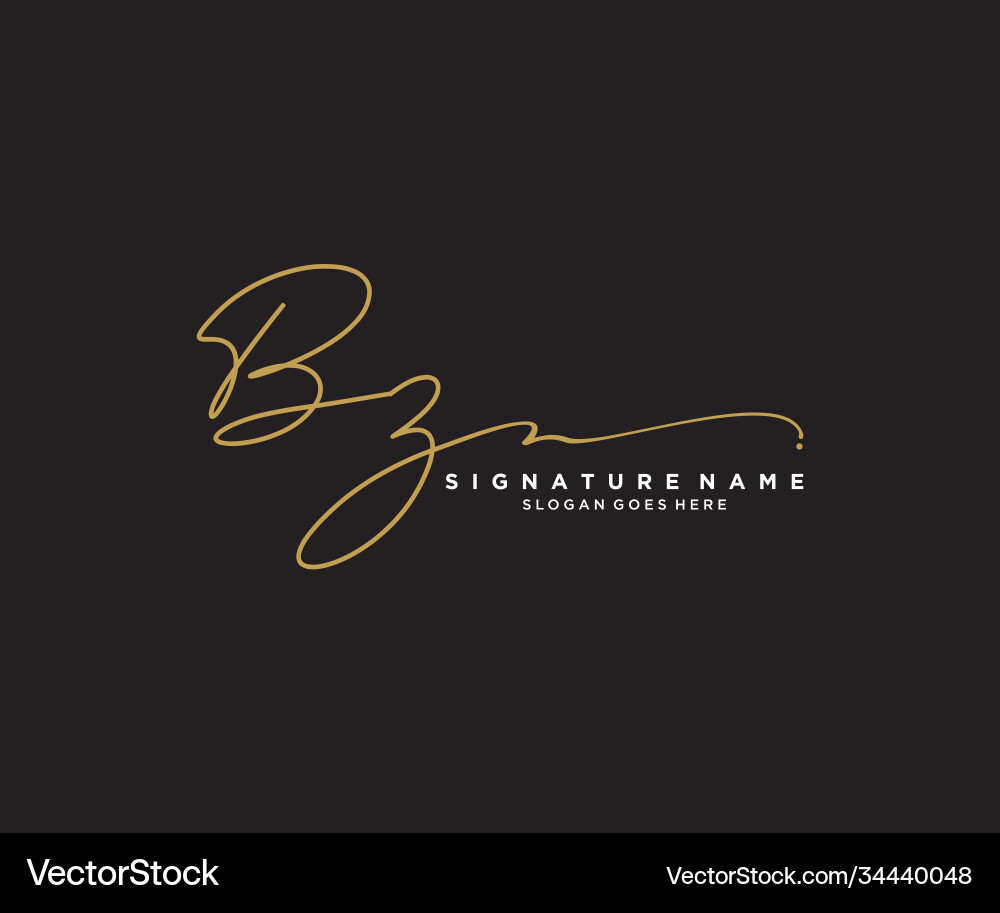 Letter bz signature logo template Royalty Free Vector Image