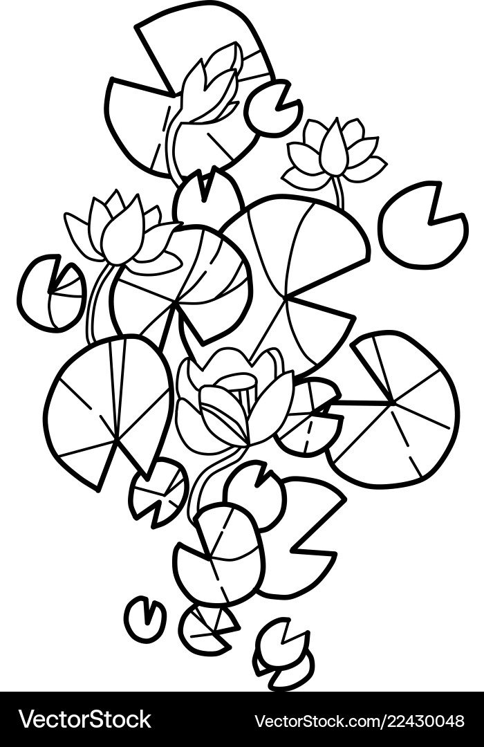 Lotus flower blooming in pond Royalty Free Vector Image
