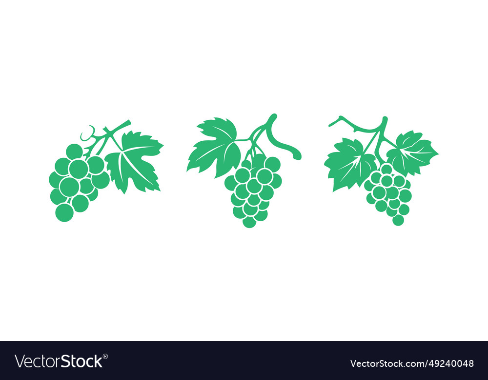 Vineyard graphics bundle Royalty Free Vector Image