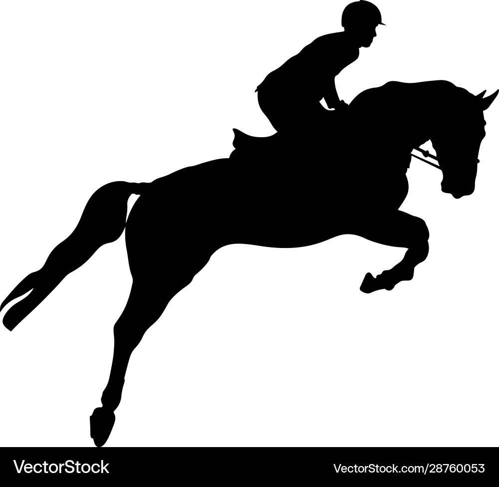 Equestrian sport man rider Royalty Free Vector Image