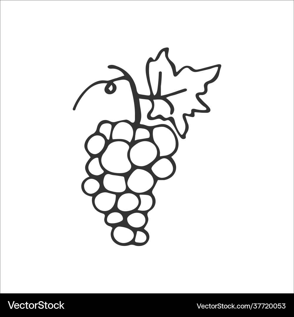 Hand-drawn christian grape icon isolated on white Vector Image