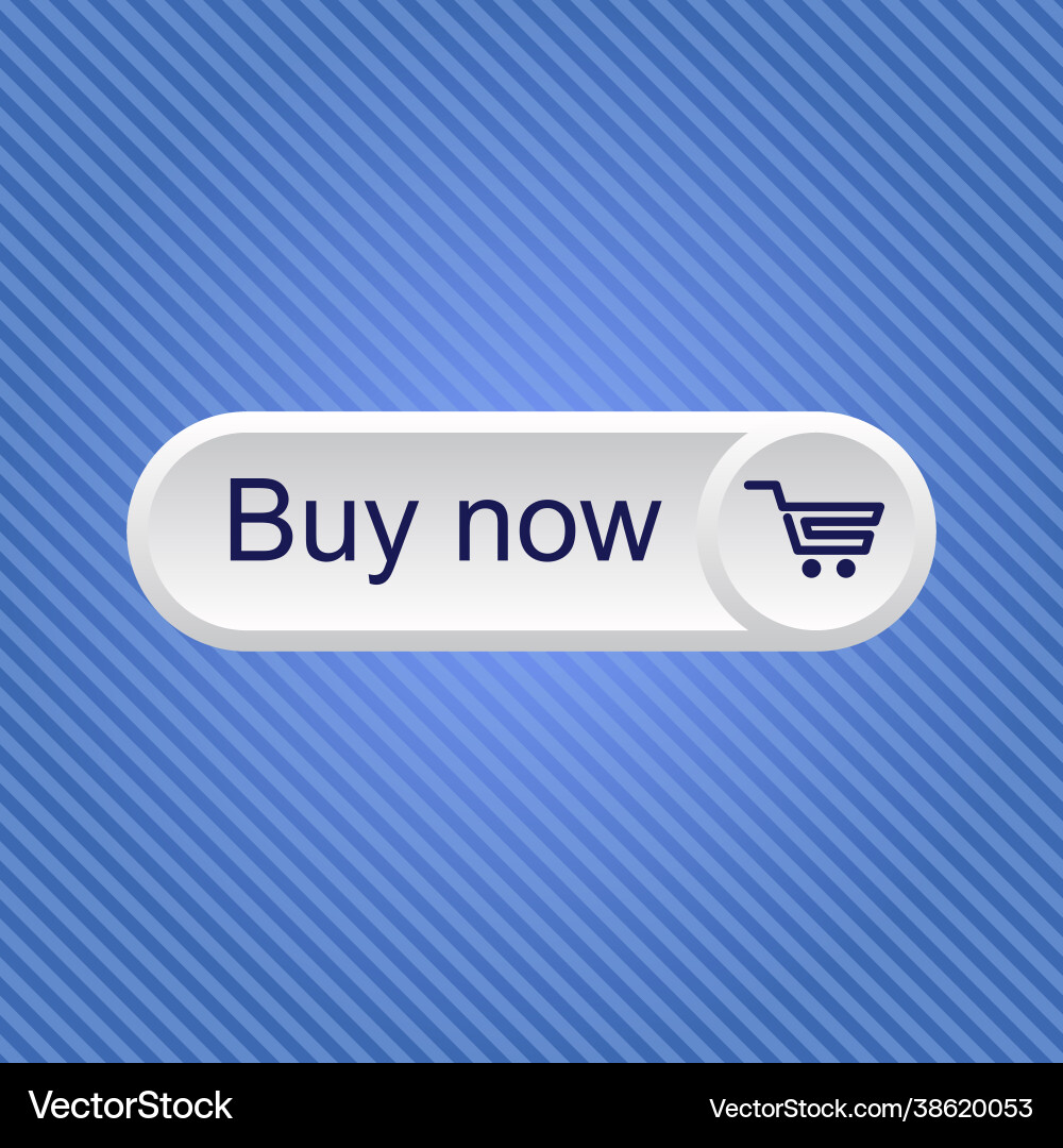 Light gray buy now button with dark blue icon Vector Image