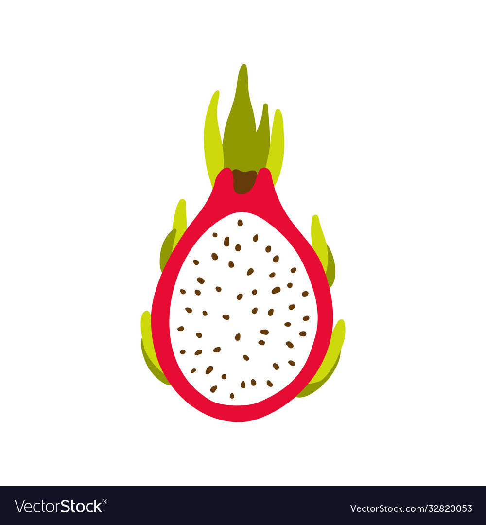 Pitaya cross section half ripe exotic asian Vector Image Pitaya cross section half ripe exotic asian Vector Image