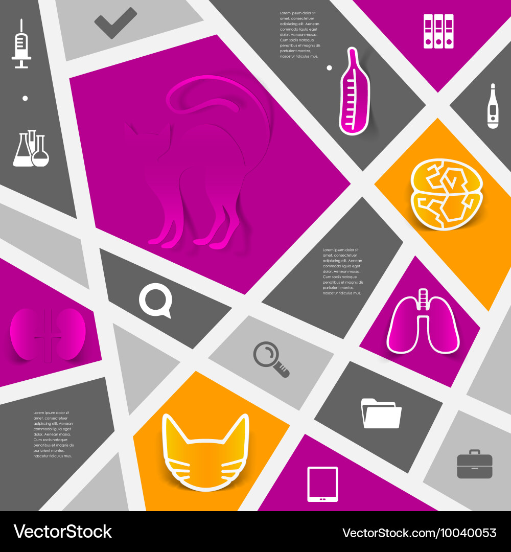 Veterinary sticker infographic Royalty Free Vector Image