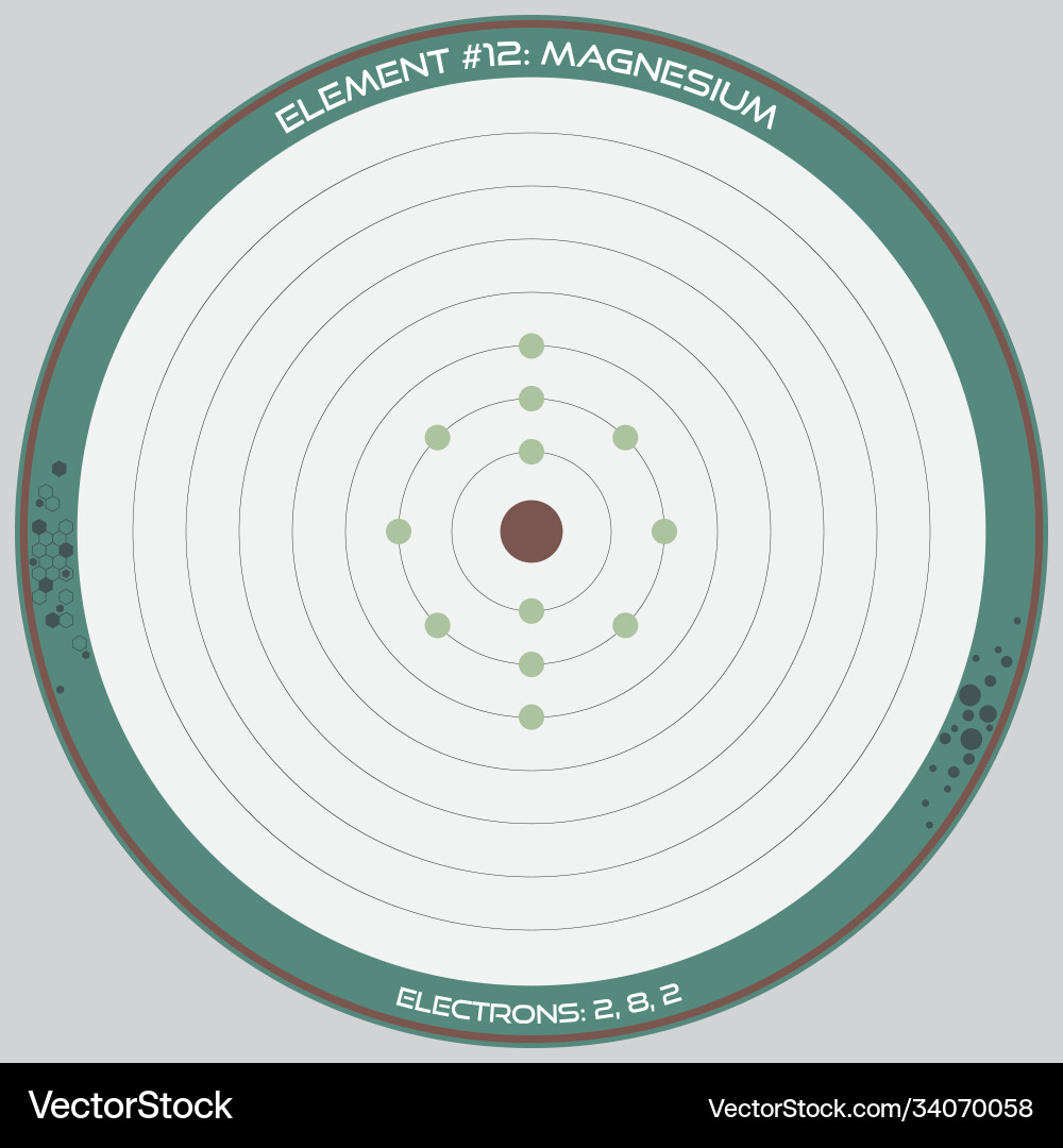 Detailed infographic magnesium Royalty Free Vector Image