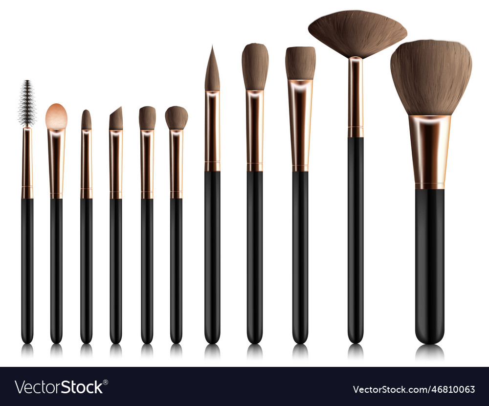 Makeup brush set Royalty Free Vector Image - VectorStock