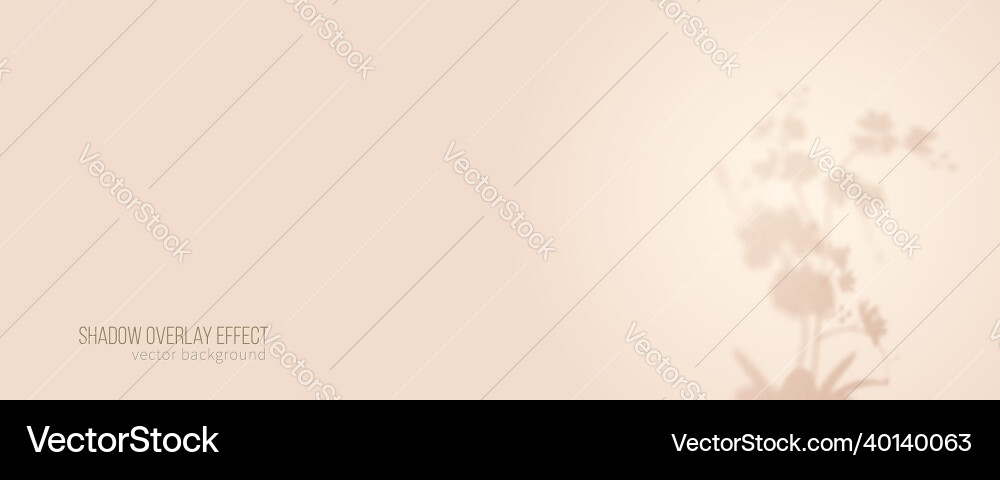 Minimalistic background design for product Vector Image