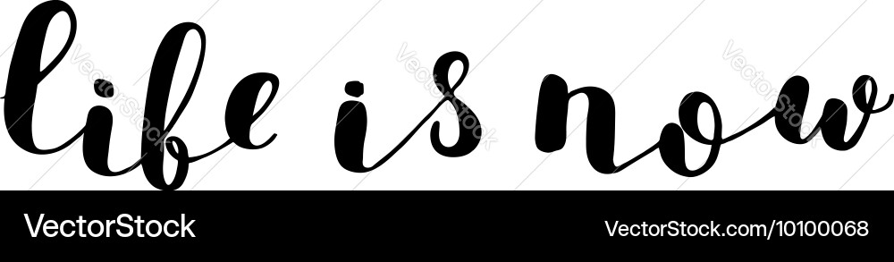 Life is now Brush lettering Royalty Free Vector Image