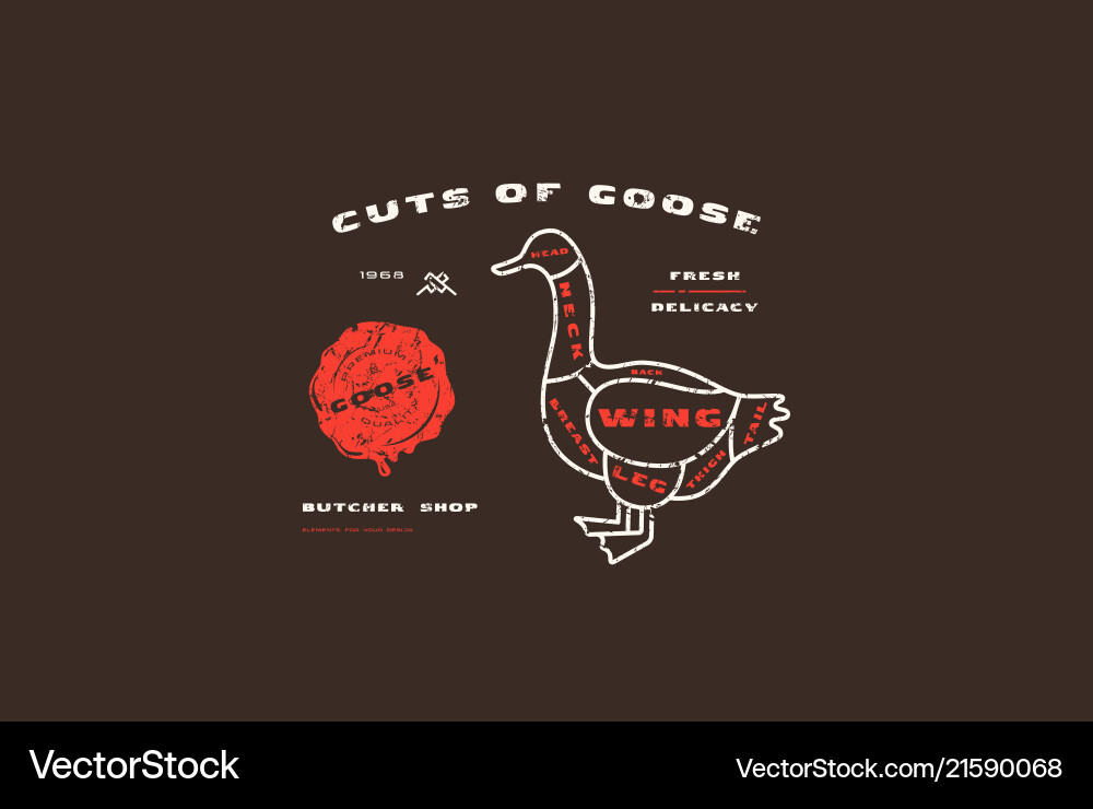 Stock goose cuts diagram in thin line style Vector Image
