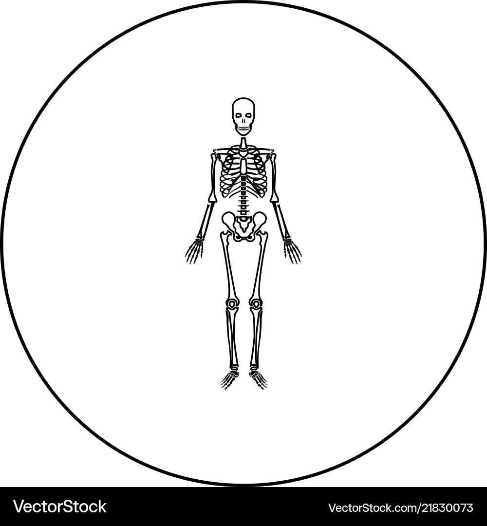 Human skeleton icon black color in round circle Vector Image