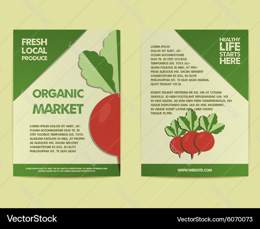 Summer farm fresh poster template or brochure Vector Image