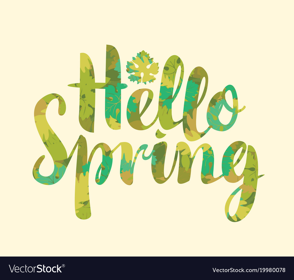 Calligraphic inscription hello spring with leaf Vector Image