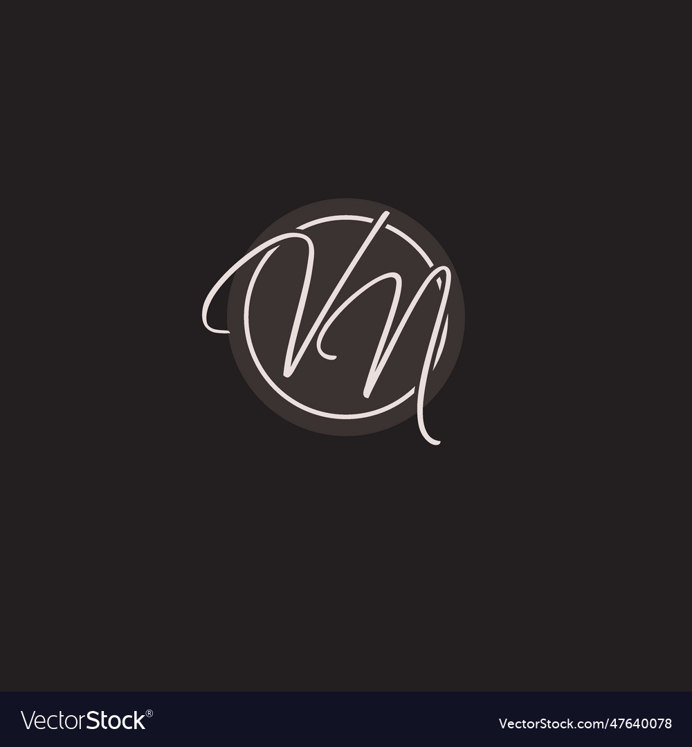 Initials vn logo monogram with simple circle line Vector Image