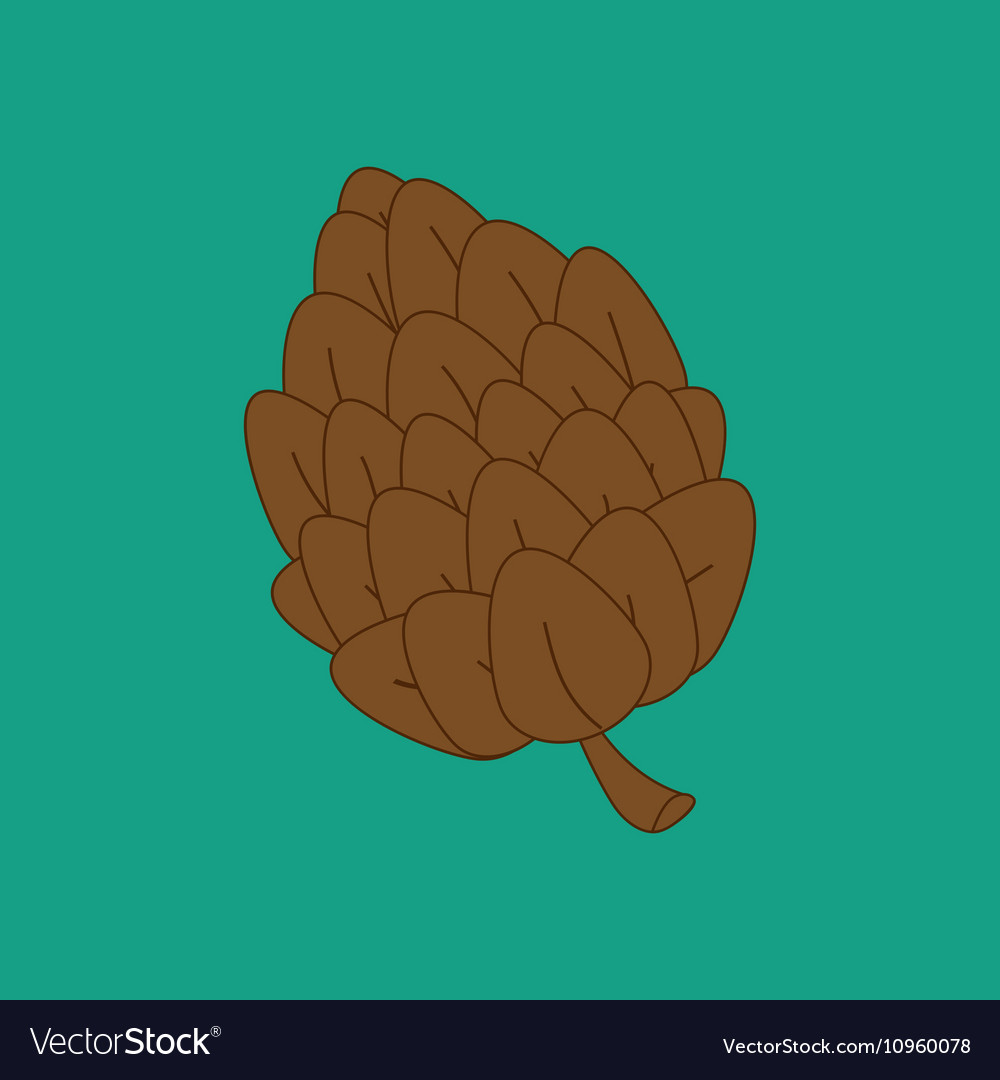 Pine cone Royalty Free Vector Image - VectorStock