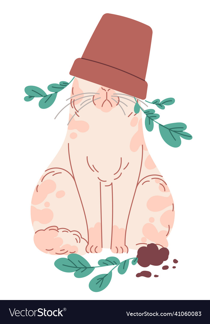 Flower pot fell on the cats head Royalty Free Vector Image