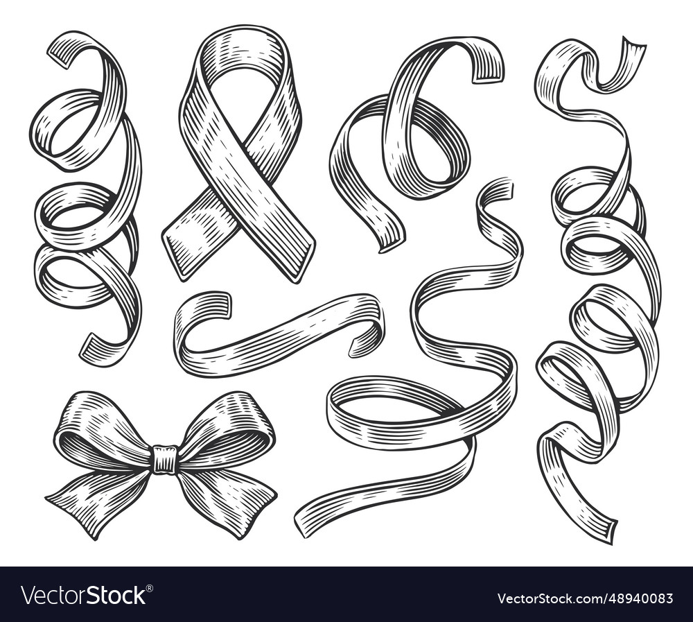 Ribbon and bow set collection of decorative Vector Image