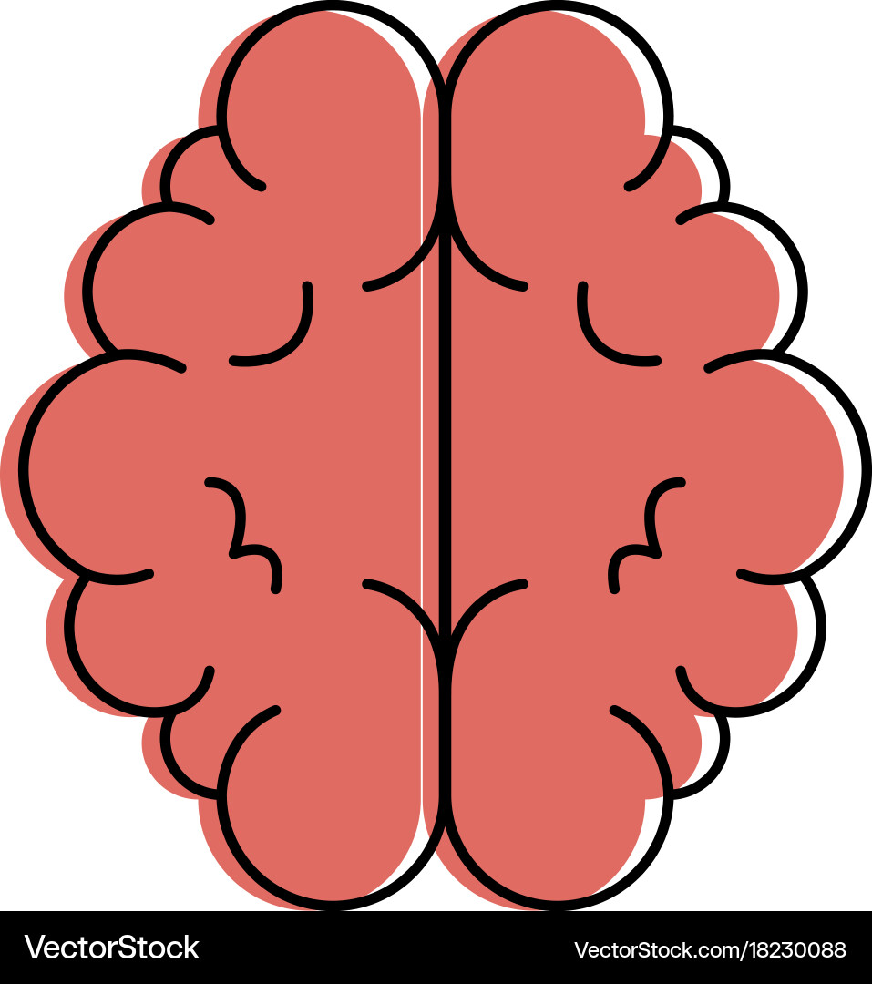Brain organ isolated icon Royalty Free Vector Image