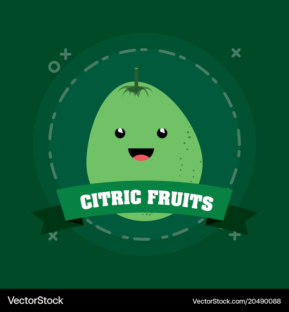 Citric fruits design Royalty Free Vector Image