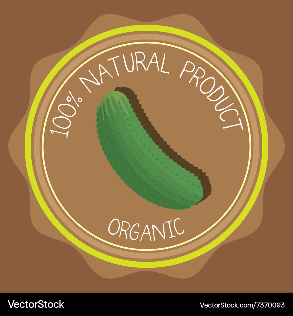 Natural food product Royalty Free Vector Image