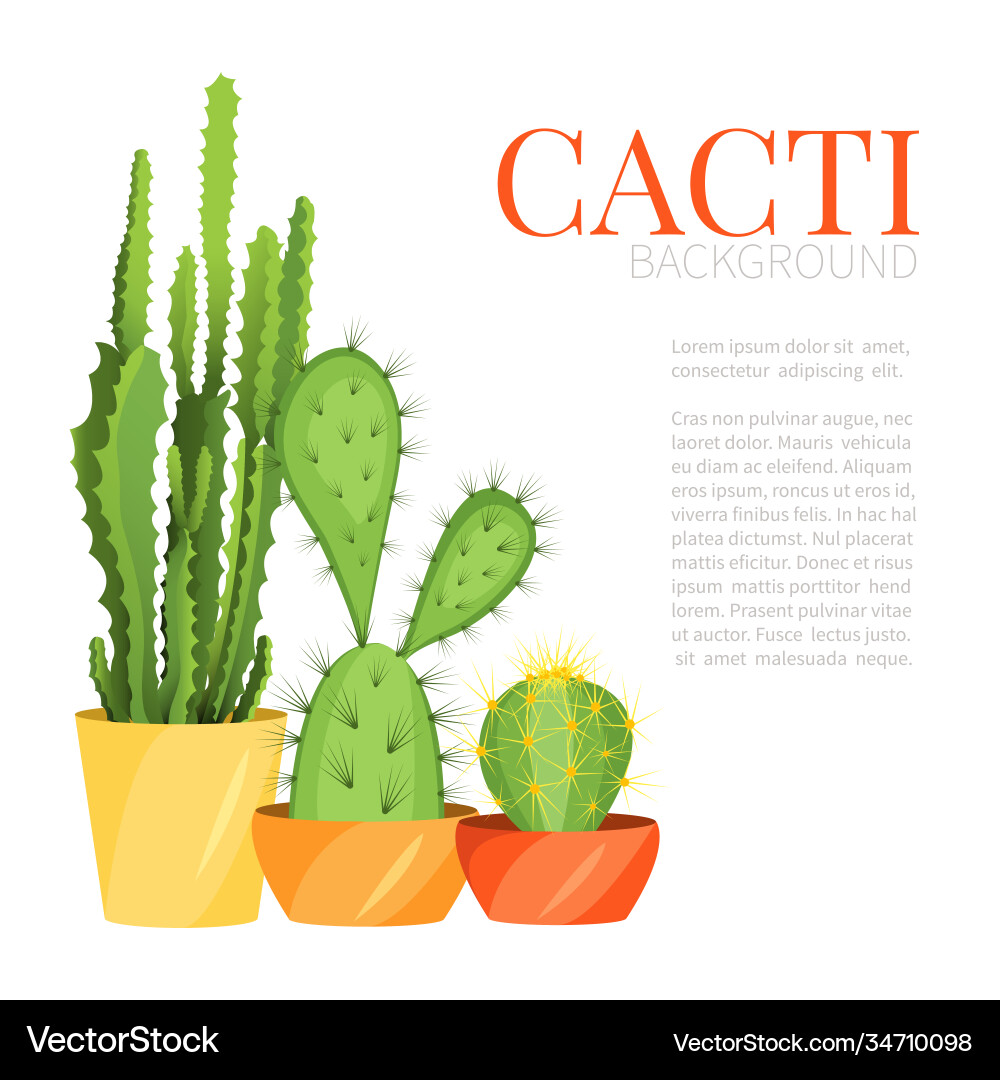 Cacti house plants in pots botany set Royalty Free Vector
