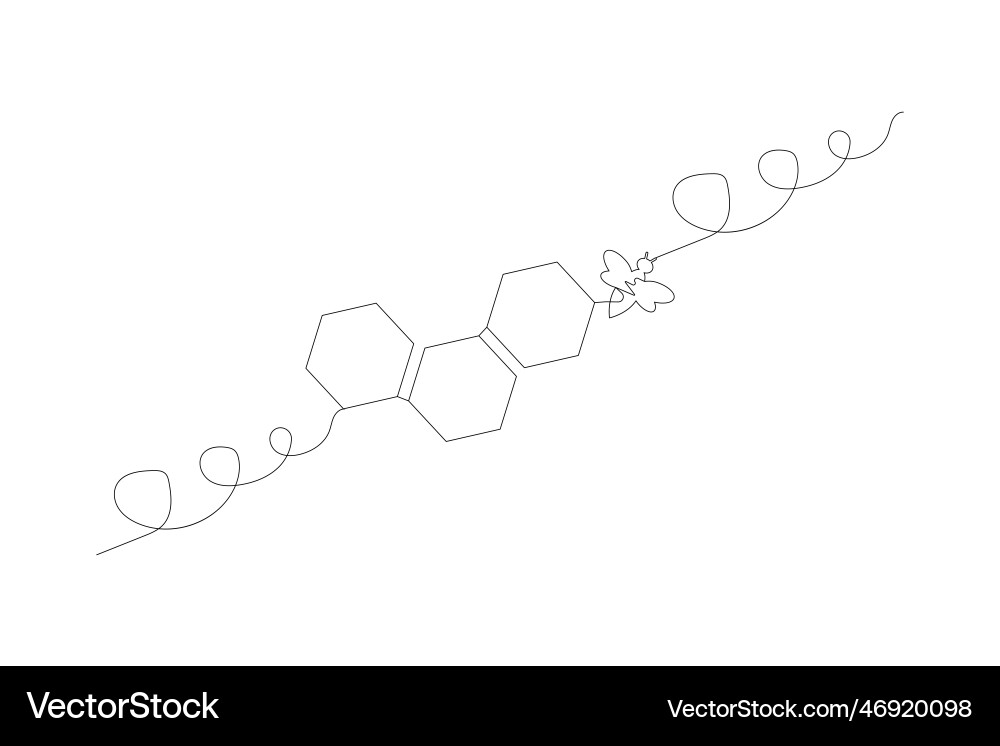 Honeycomb bee line animal concept Royalty Free Vector Image