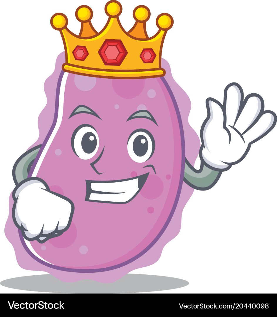 King bacteria mascot cartoon style Royalty Free Vector Image