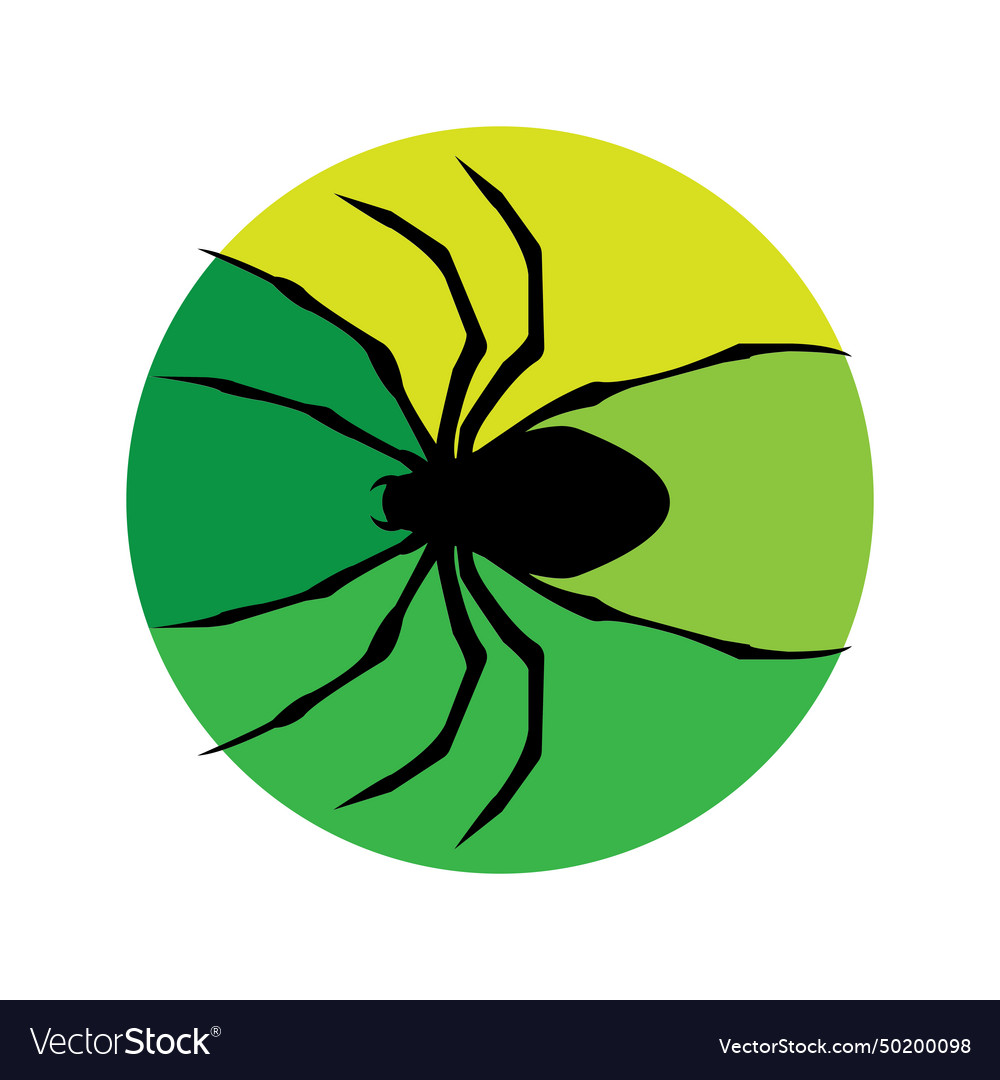 Spider icon Royalty Free Vector Image - VectorStock
