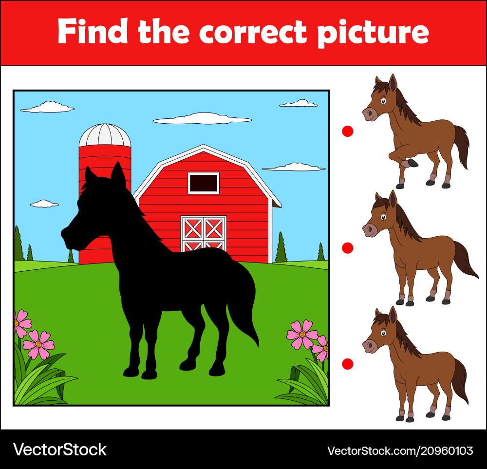 Find correct picture education game children Vector Image