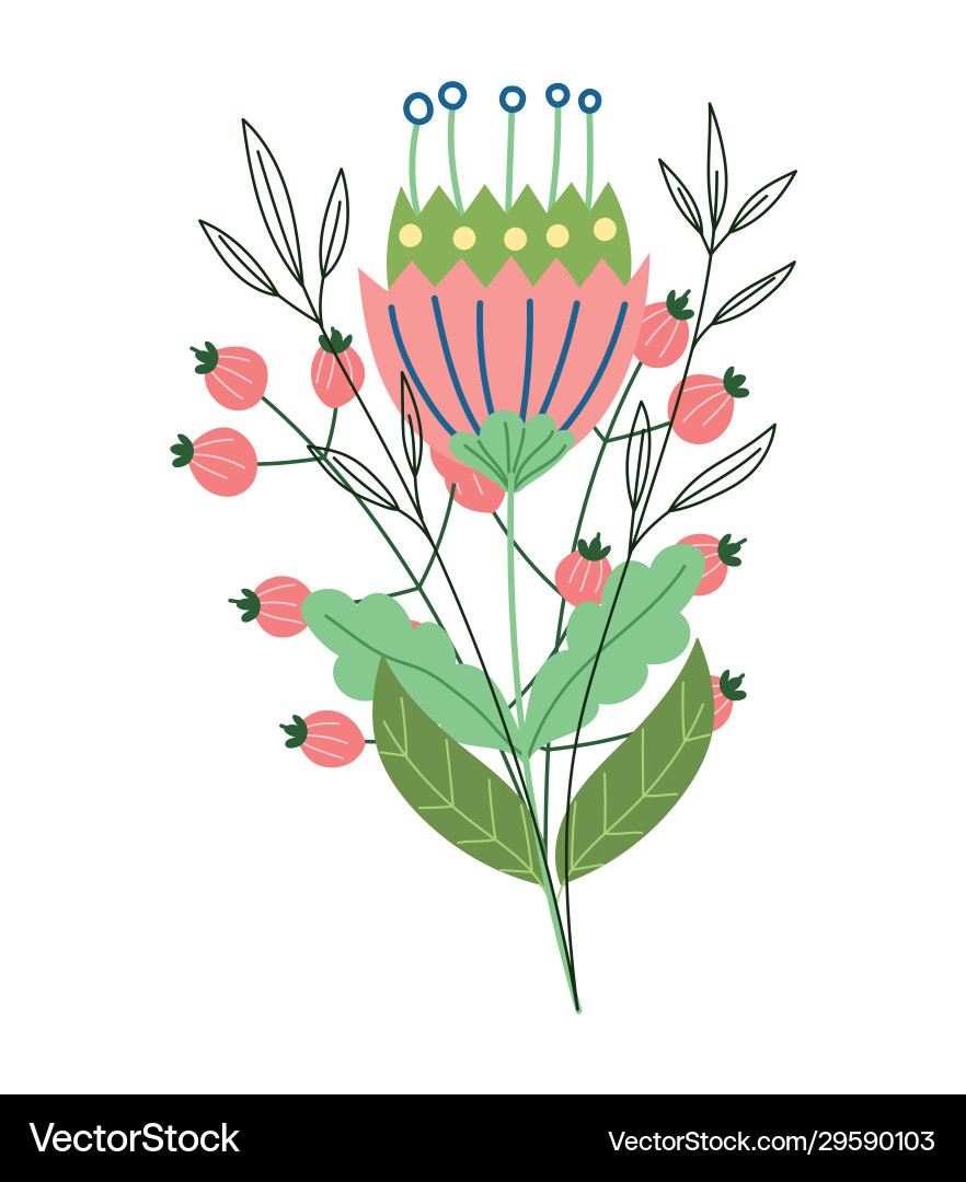 Flower sprout growth leaves herb wild botany Vector Image
