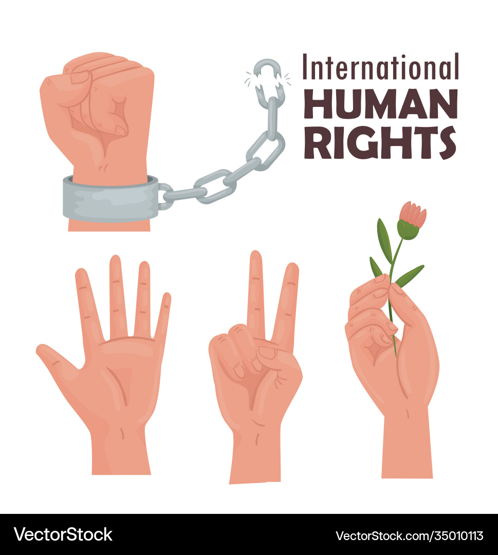 International human rights lettering poster Vector Image