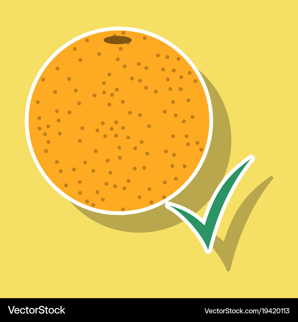 Orange whole of orange Royalty Free Vector Image