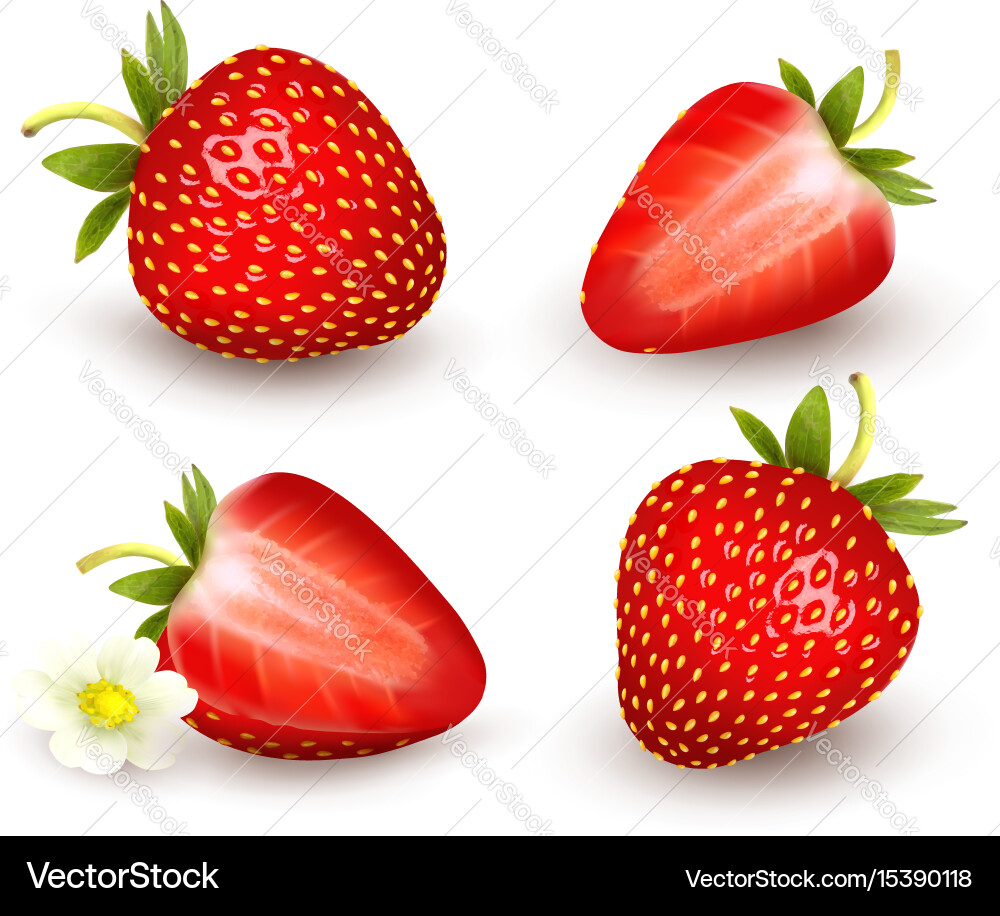 A set of fresh strawberry Royalty Free Vector Image