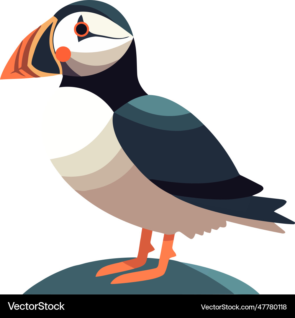 Cute cartoon puffin bird flat icon Royalty Free Vector Image