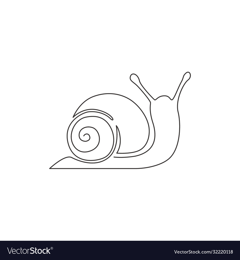 One continuous line drawing exotic snail Vector Image