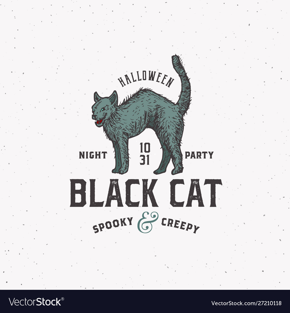 Spooky creepy black cat halloween night party Vector Image